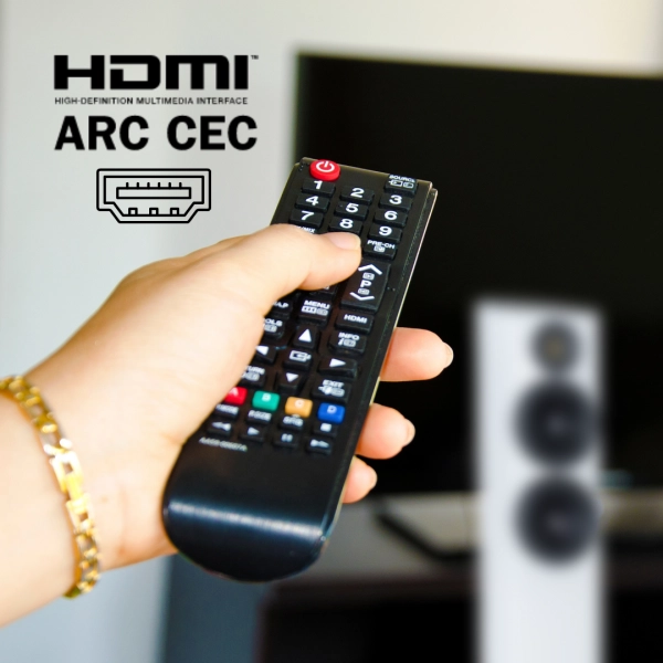 HDMI | Accessories | HDX21 | Best Audiophile Speakers